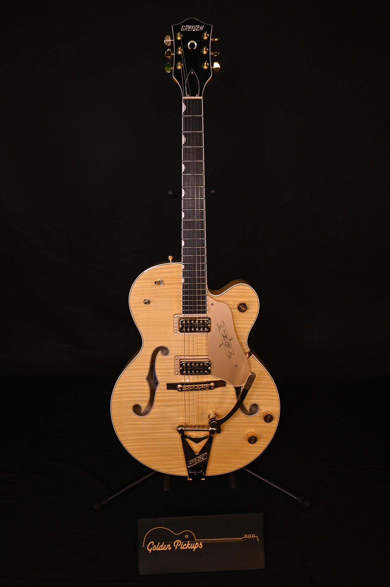 Gretsch G6120AM Chet Atkins Hollow Body Electric Guitar - 2011 ...