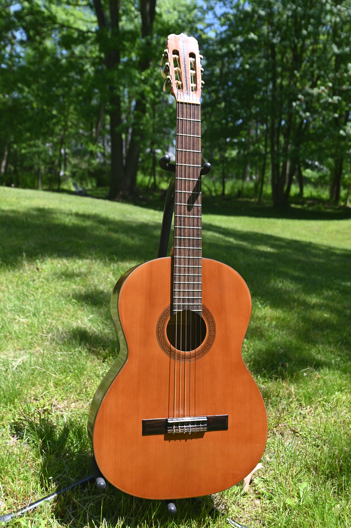 Vintage 1969 Classical Acoustic Guitar with Hardshell Case - Excellent ...