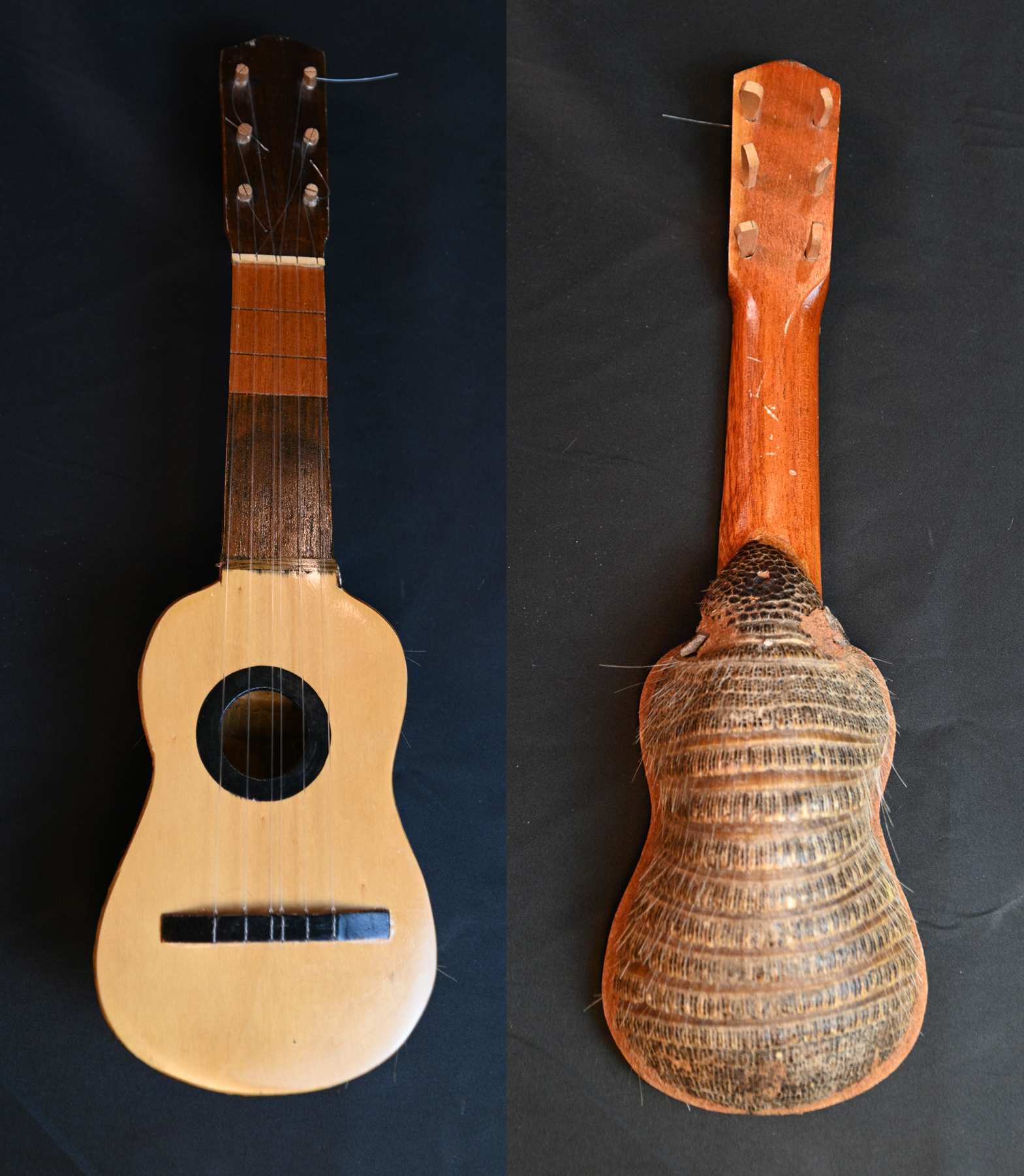 Armadillo Back Charango Andean 6-String Instrument - Ukulele? 1930s ...